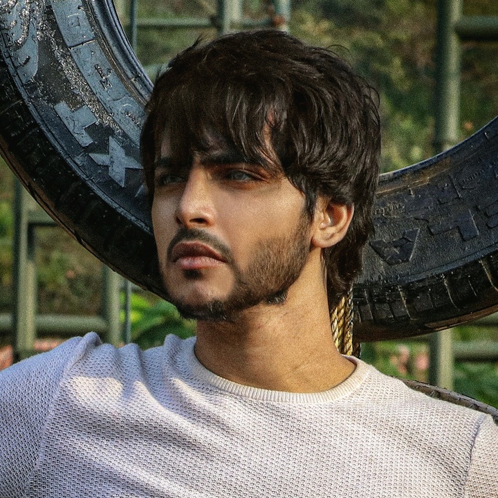 🌈shinzo - @shinzo_girl TikTok Analytics | Profile, videos & hashtags ...