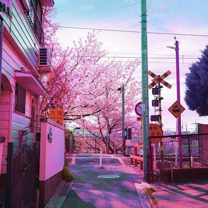 Cinthya Reyes - @cinthyareyes664 TikTok Analytics | Profile, videos ...