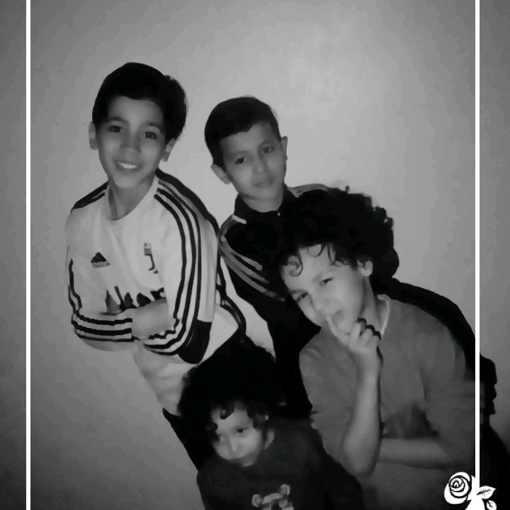 Khaled Hadj - @khaledhadj TikTok Analytics | Profile, videos & hashtags ...