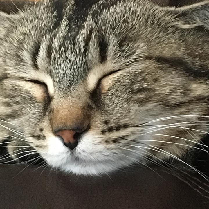 How the fortnite last chance major fncs works full guide chapter 4 ...