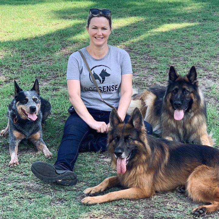 Make sure to learn your dogs Thresholds. What point of arousal (energy ...