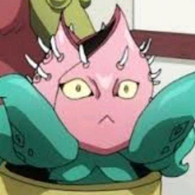 🦄 @stray_cat_official - Stray catto - TikTok