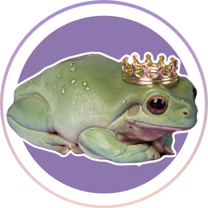 more frog photos! feel free to use them for wallpapers and pfps ...