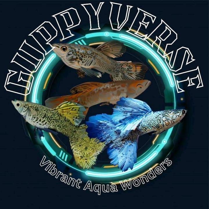 👥 The Fascinating Twins: Red Lace Guppies and Their Surprising Offspring! 🌹🐠 Meet our remarkable ...