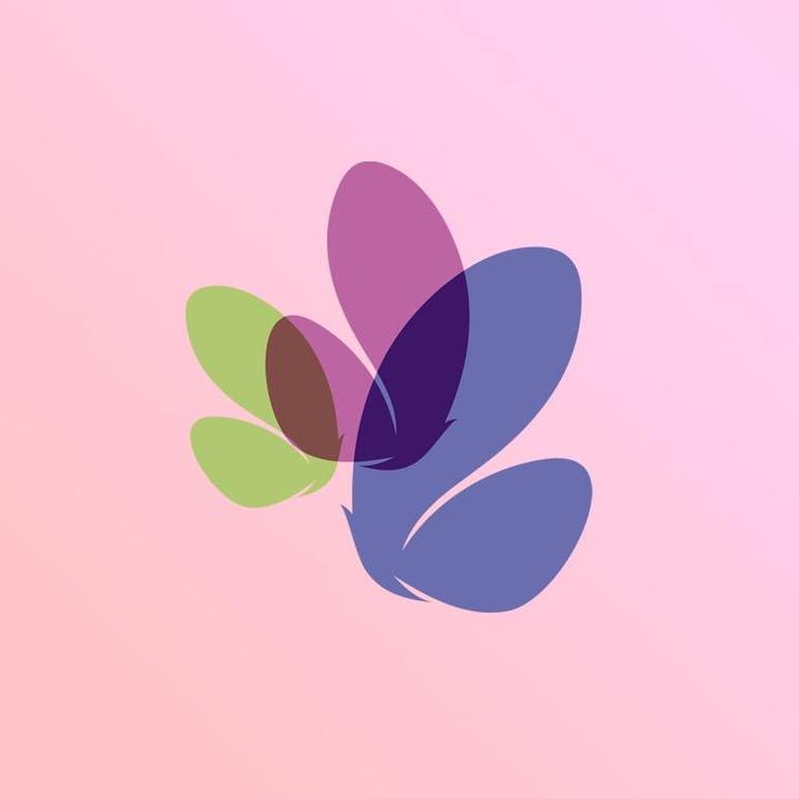 🦄 @laserfast.oficial - Laser Fast - TikTok