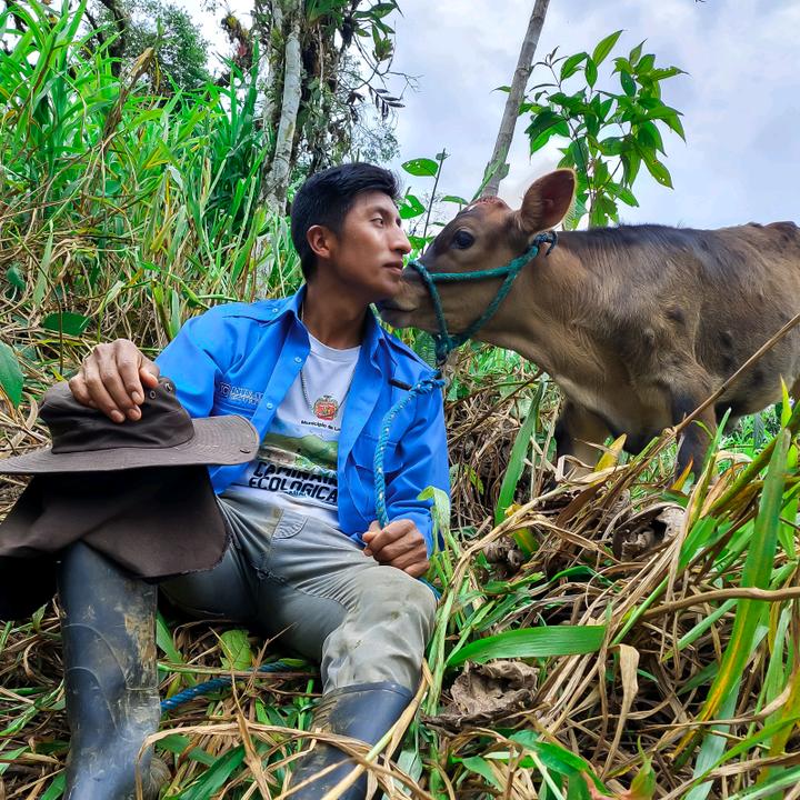 🦄 @elmonchitooficial - El Monchito - TikTok