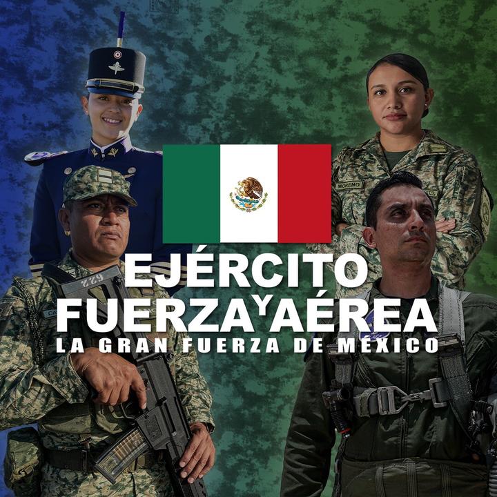 🦄 @sedenamx - SEDENAmx - TikTok