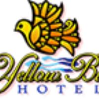 🦄 @yellowbirdbarbados - Yellow Bird Hotel Barbados - TikTok