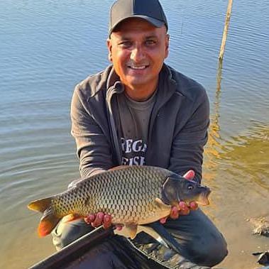 🦄 @regalfishoficial - Regal Fish Romania - TikTok