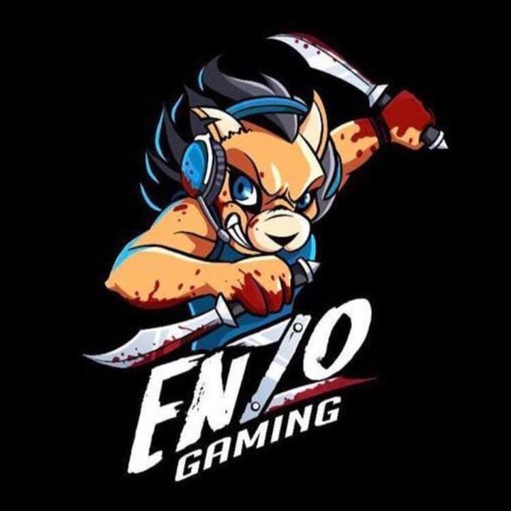 🦄 @enzog_official - Enzo Gaming Official - TikTok