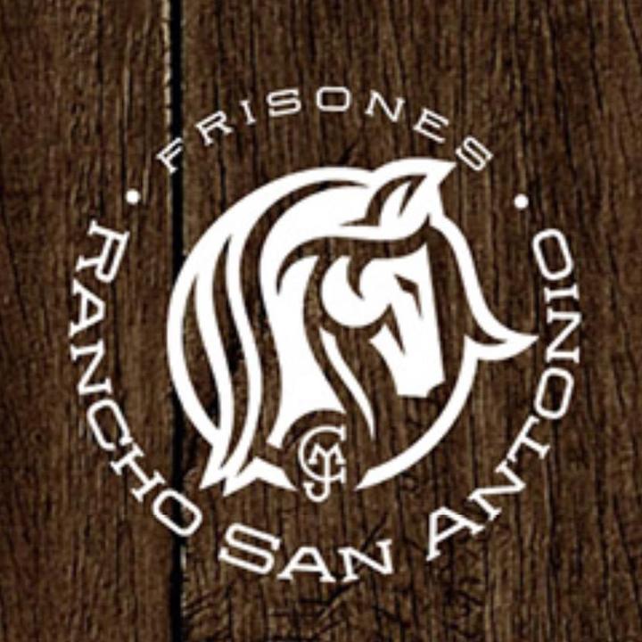 Agradecido con dios , con el buen papel que hizo holandes en su primer ...