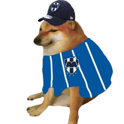 🦄 @cheems_de_rayados._ - Multi_Futbol👌 - TikTok