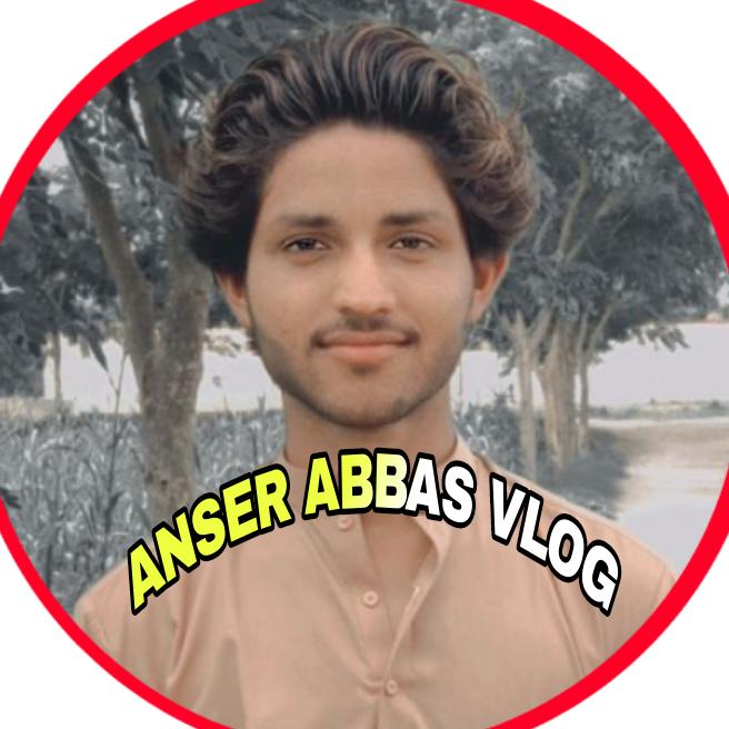 🦄 @gulabiqueen99 - ANSER ABBAS VLOG - TikTok
