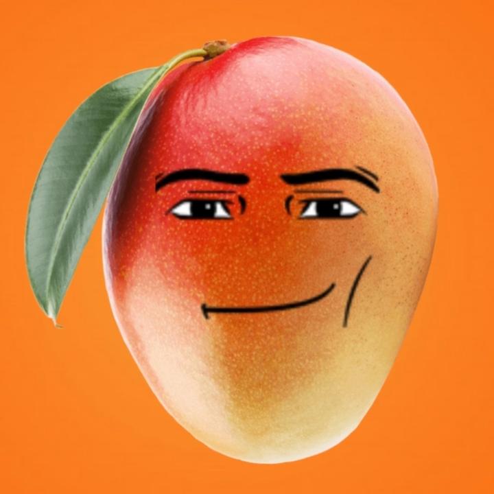 🦄 @realmangomemes - Mango Memes 🥭