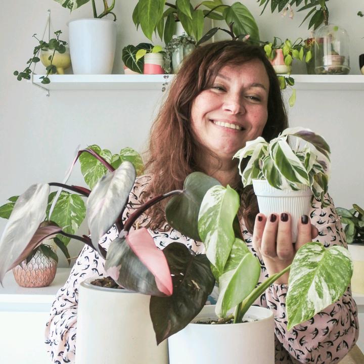 🦄 @planticidad - PLANTicidad 💚 Vanesa Piñeiro - TikTok