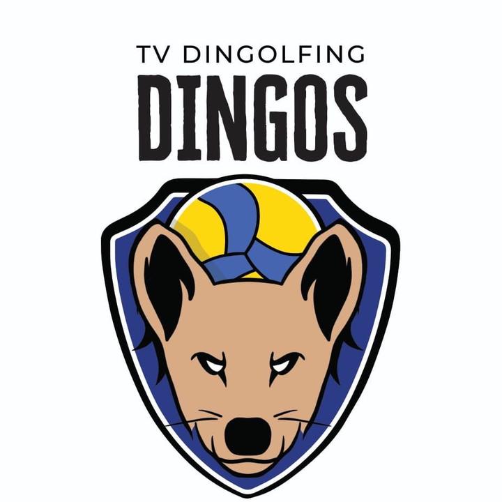 🦄 @tv_dingos - TV Dingolfing - Damen 1 - TikTok