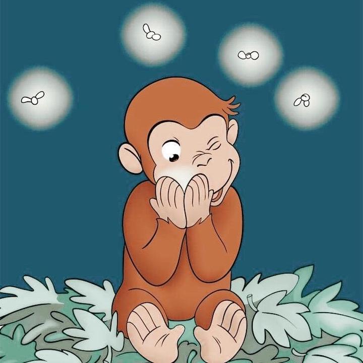 🦄 @curiositygeorge - george - TikTok