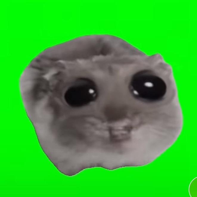 Sad cat meme green screen | gbaffect (@gbaffect)