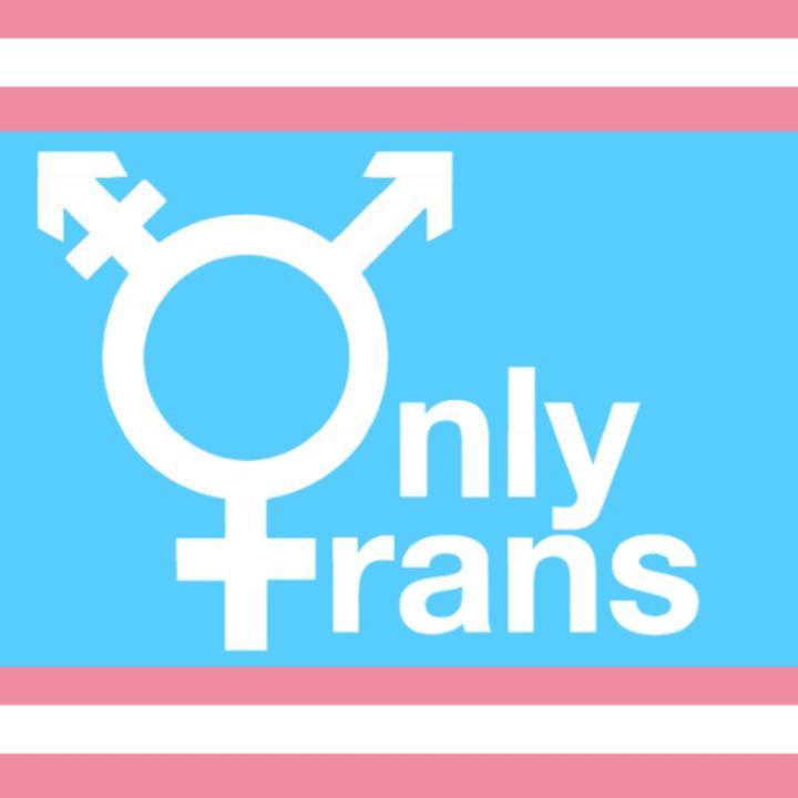 🦄 @onlytrans.official - onlytrans - TikTok