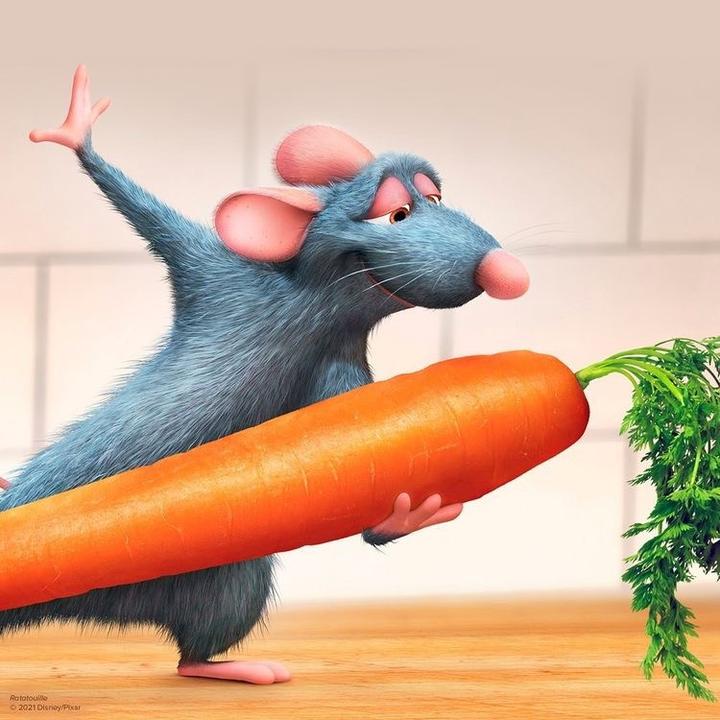 🦄 @aprendiendoaserchefsito - Remy - TikTok