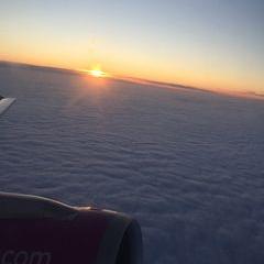 🦄 @collcard - zgembo