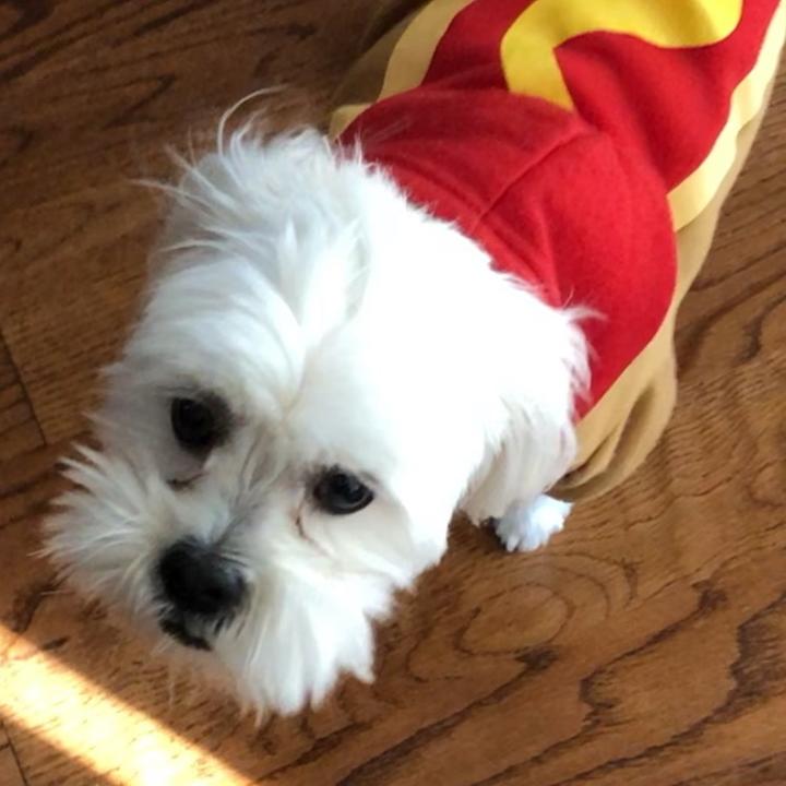 🦄 @npen01 - npen - TikTok