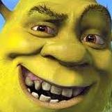 🦄 @shrexxyshrek - Shrexy Shrek - TikTok