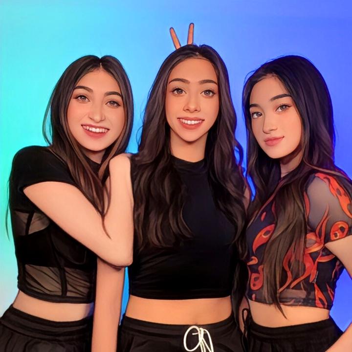 🦄 @thefordsisters - The Ford Sisters - TikTok