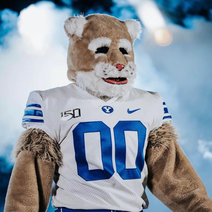 🦄 @cosmo_cougar - Cosmo the Cougar - TikTok