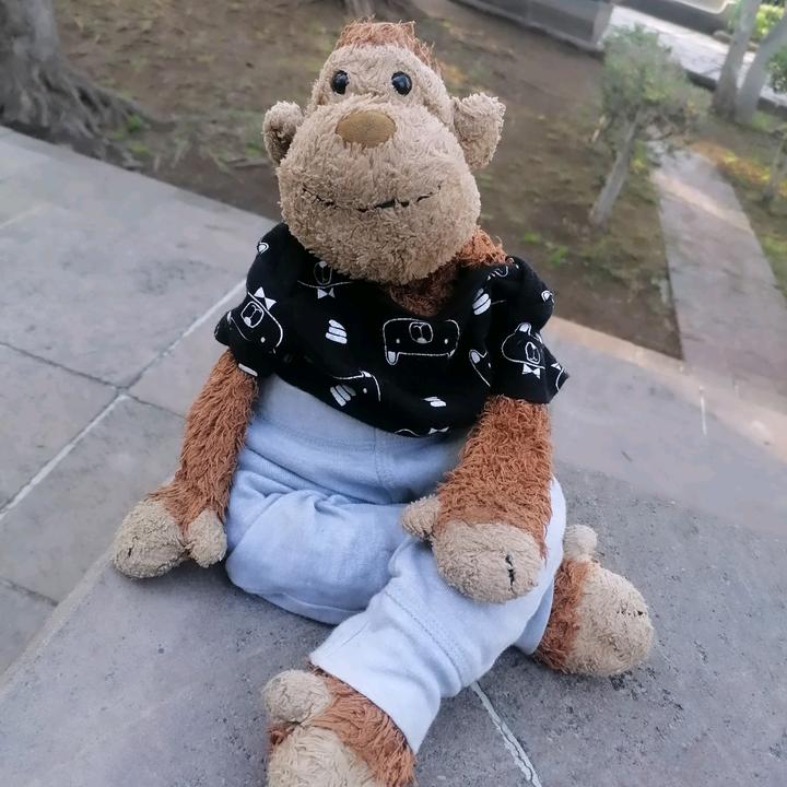 🦄 @changoperreooriginal - chango_perreo💋🙈 - TikTok