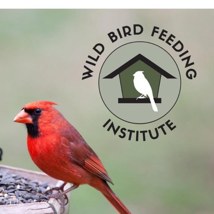 🦄 @wildbirdfeedinginst - Wild Bird Feeding Institute - TikTok
