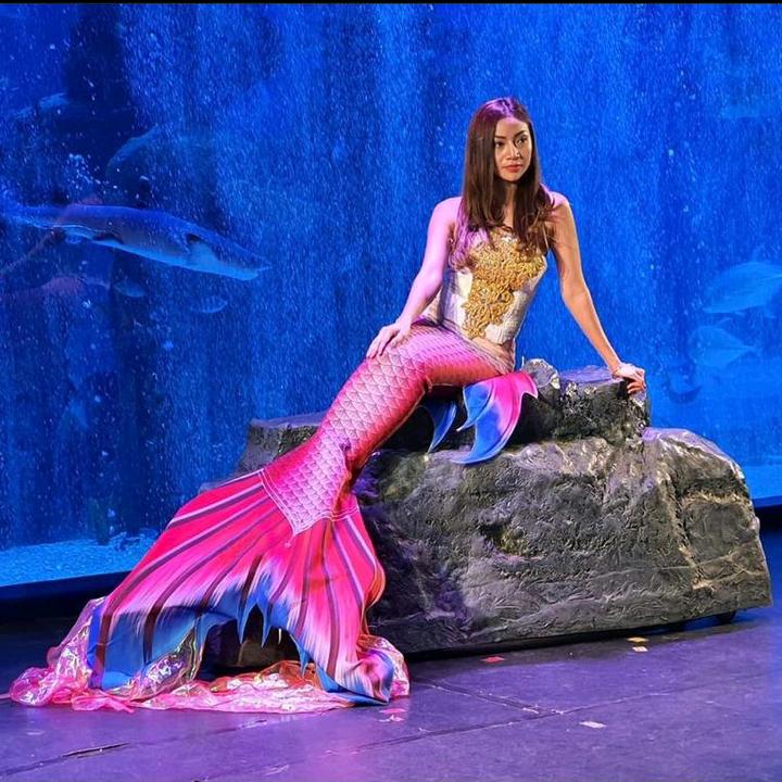 🦄 @mermaid.show - MERMAID SHOW - TikTok