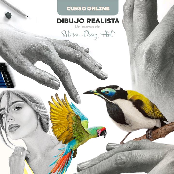 Aprende a dibujar con realismo cada parte para asi crear impresionantes ...