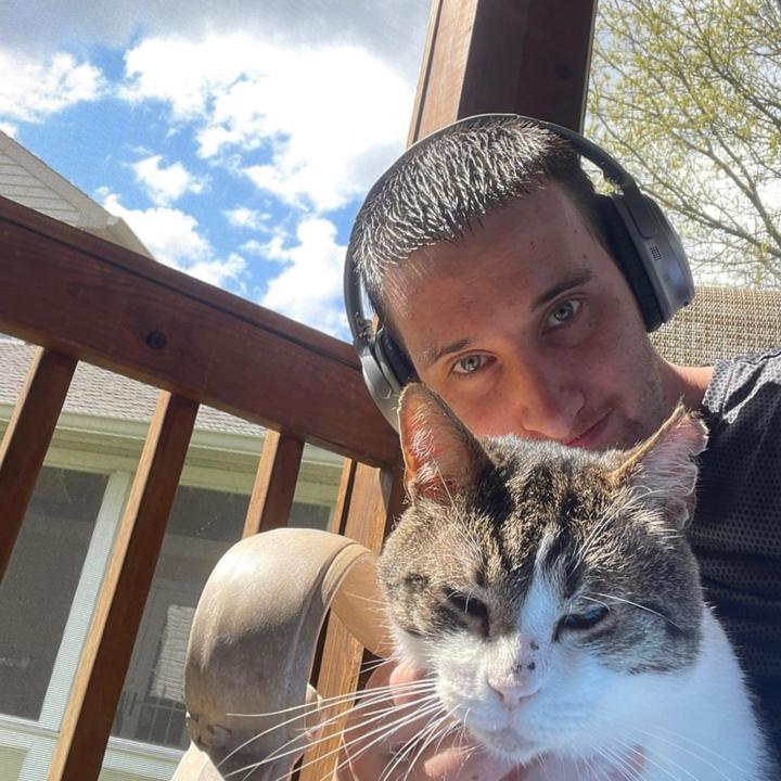 🦄 @angrycatguy - Cat Guy - TikTok