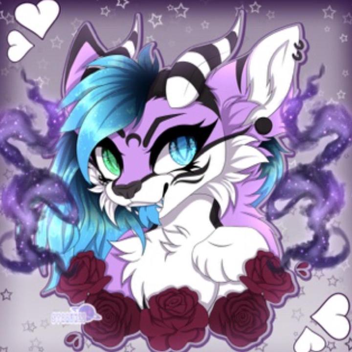 🦄 @wybeewolf - WybeeWolf - TikTok