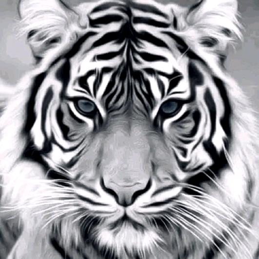 @rodrigo_8_8 - TikTok Video