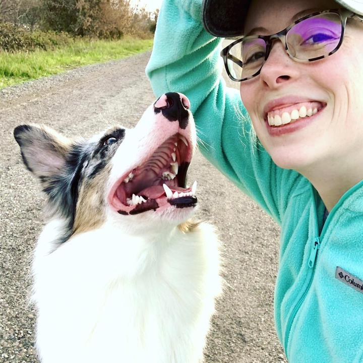 deltatails Certified Service Dog Trainer TikTok deltatails-certified-service-dog-trainer-tiktok