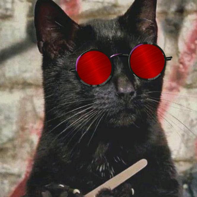 🦄 @dexterleeoficial - Dexter Lee - TikTok