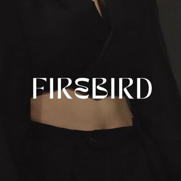 🦄 @shopfirebird - Shop Firebird - TikTok