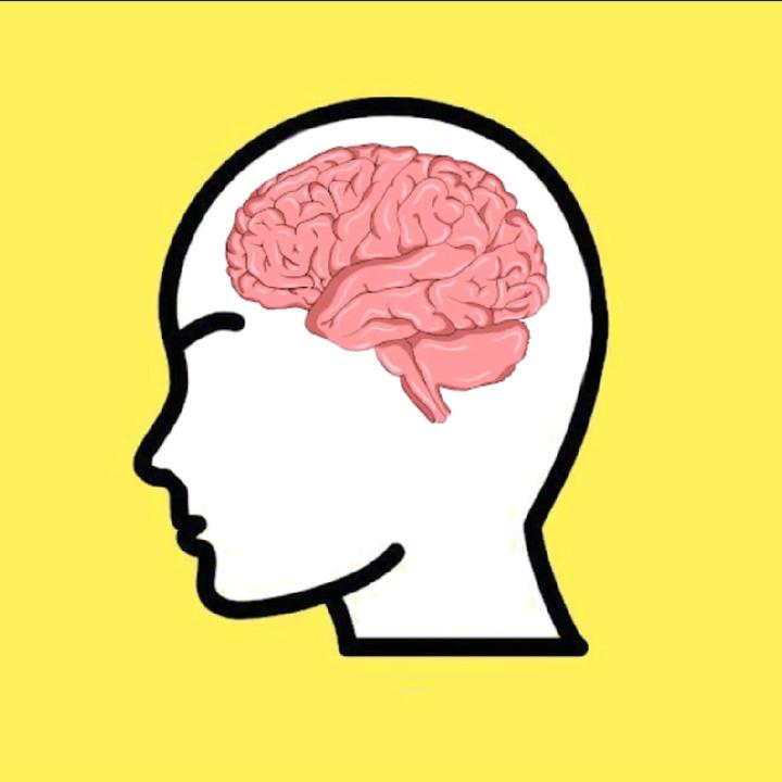 🦄 @infco2 - İnfCo - TikTok