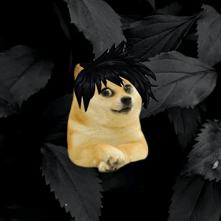 🦄 @historia_de_los_cheems - cheems crack - TikTok