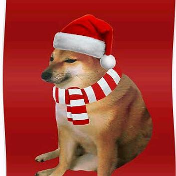 🦄 @historias.con.cheems - abrohilo - TikTok