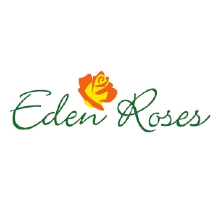 🦄 @edenroses_ec - Eden Roses - TikTok