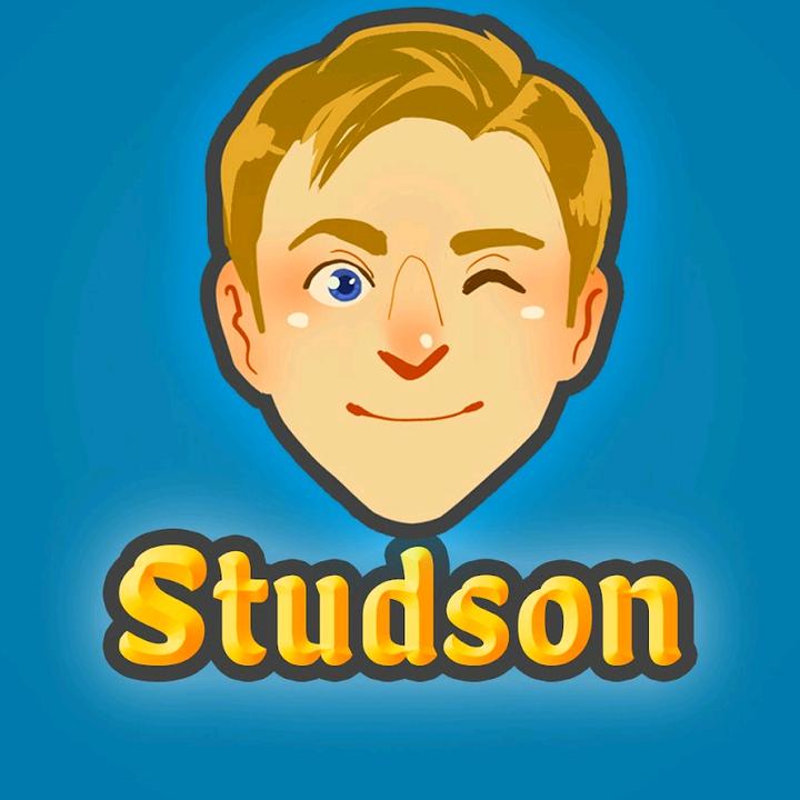 🦄 @studson.studio - Studson Studio - TikTok