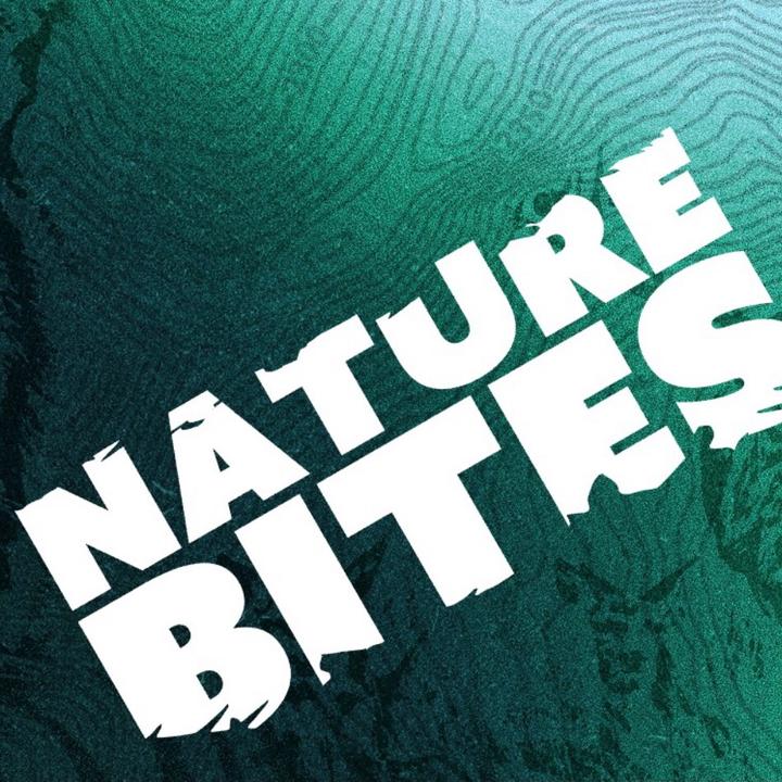 🦄 @nature_bites - huyenavr2cg - TikTok