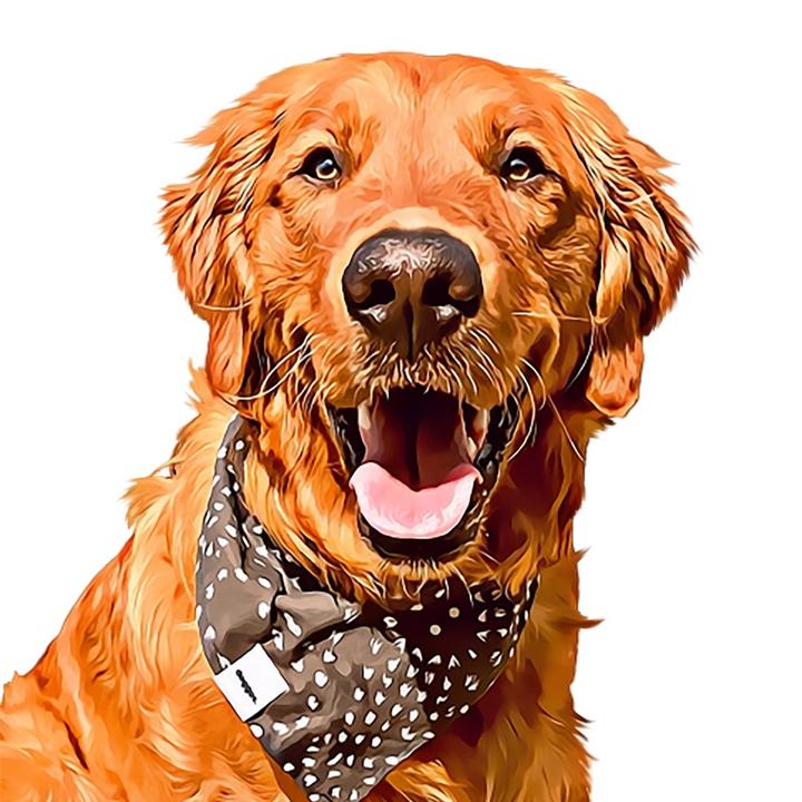 Tutorial for needy dogs! Send this to a dog who is in need of more ...