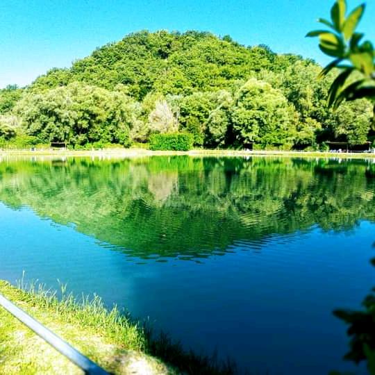 🦄 @parcoriofishingtrout - PARCO RIO pesca alla trota