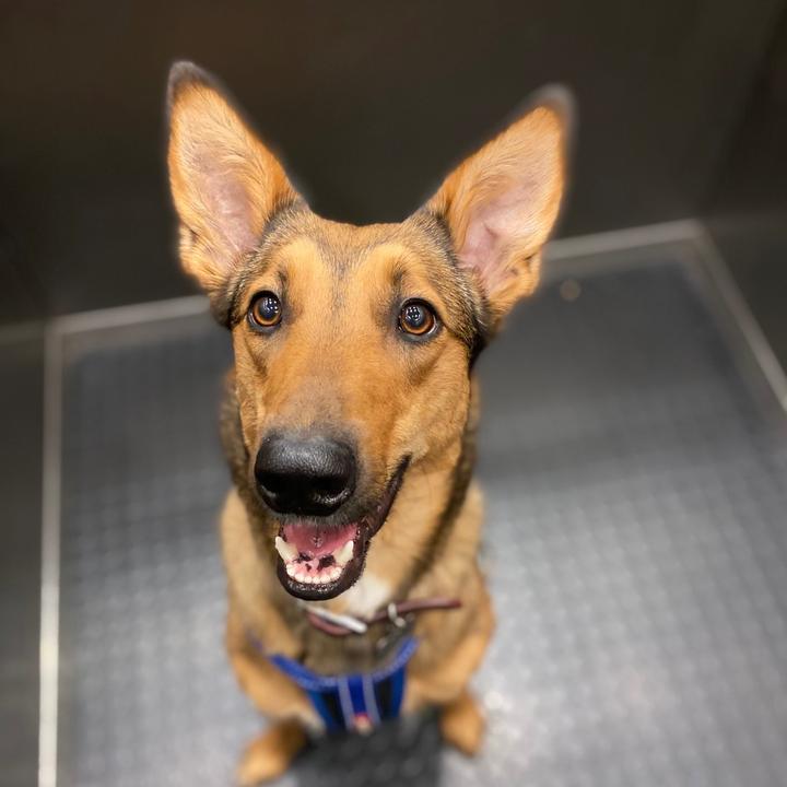 🦄 @zeetsypeets - Baby Zita - TikTok