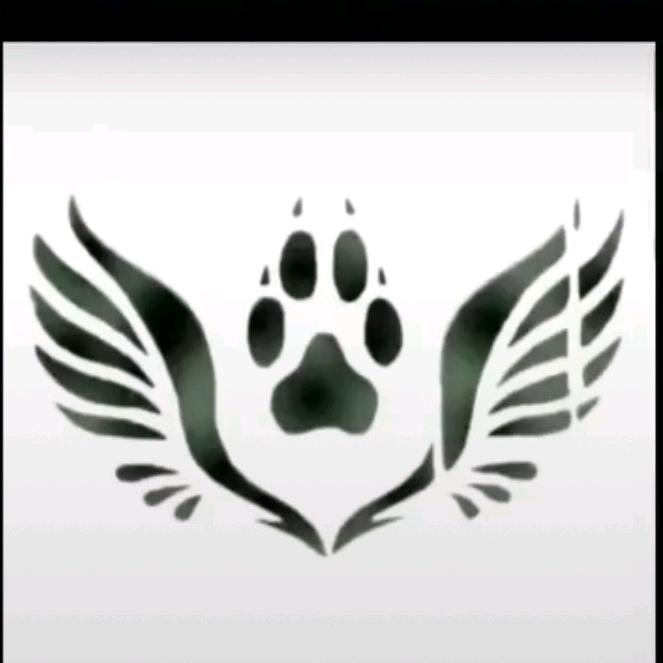 🦄 @sso.wolf - Phoebe wolffly - TikTok