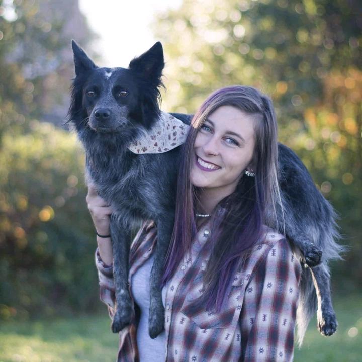 🦄 @handfulofleashes - Heather Garges - Dog Trainer - TikTok